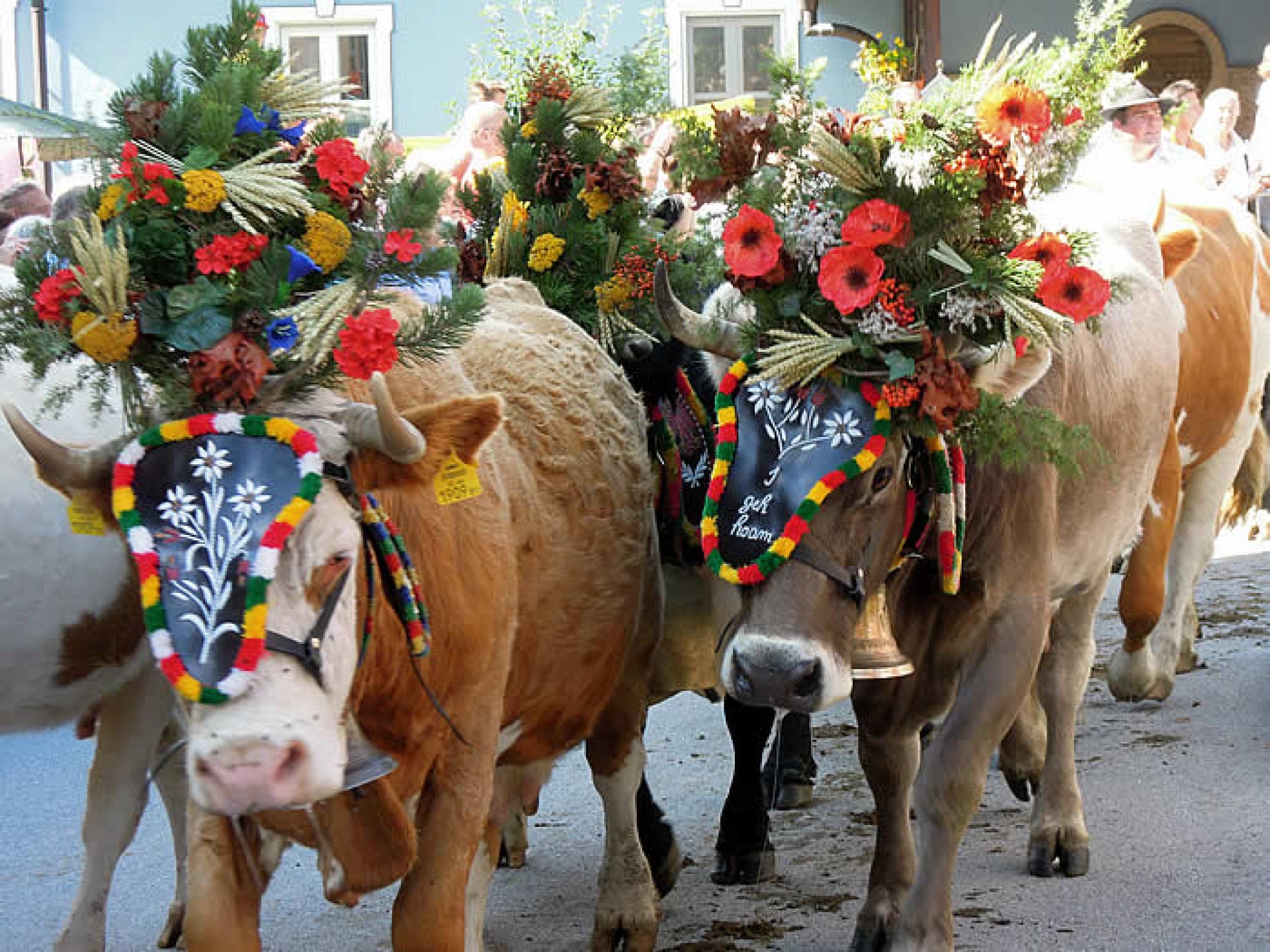Almabtrieb